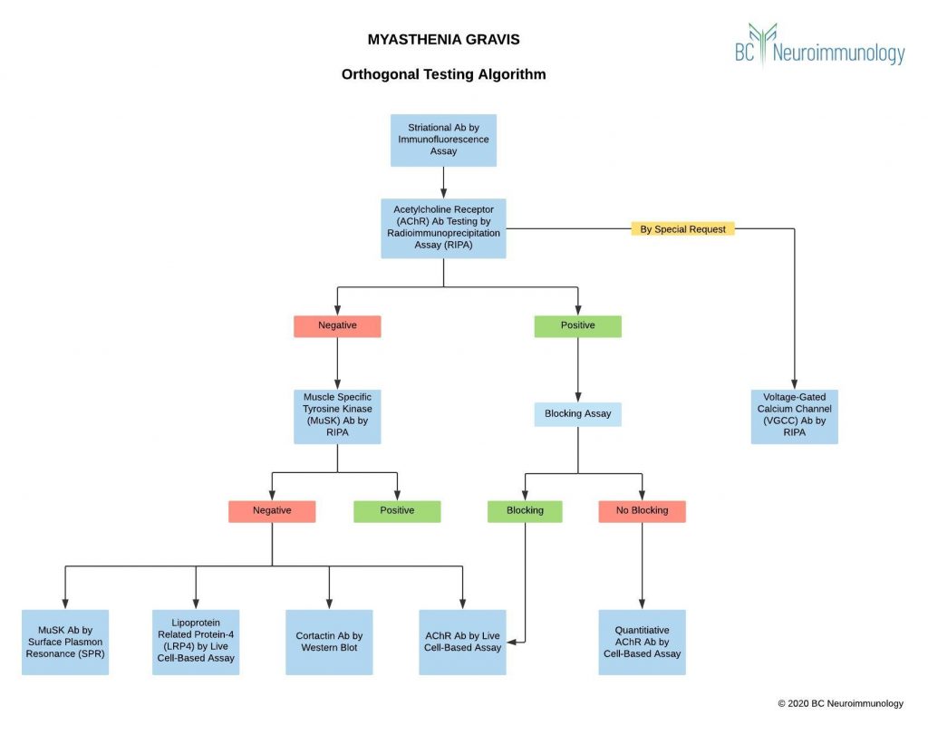 Myasthenia Gravis - BC Neuroimmunology